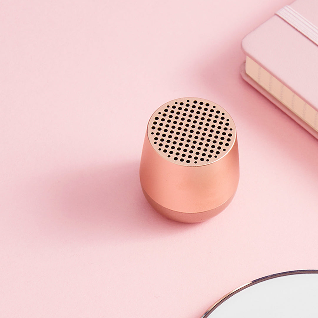 Mini Lexon Speaker | Not Another Bill