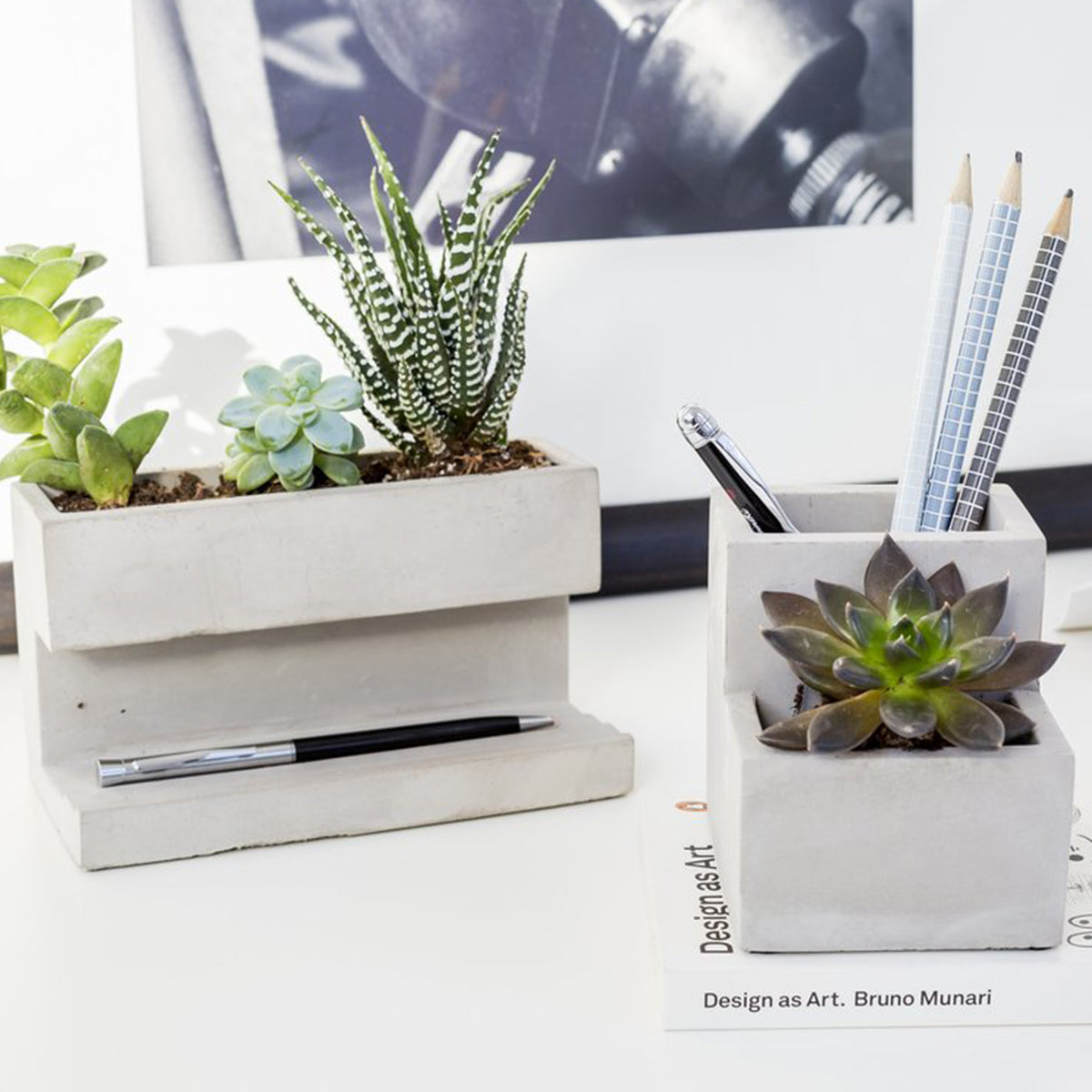 Kikkerland Desk Planters – Not Another Bill